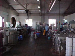 PT. GUNZE INDONESIA Spun Polyester 100 %